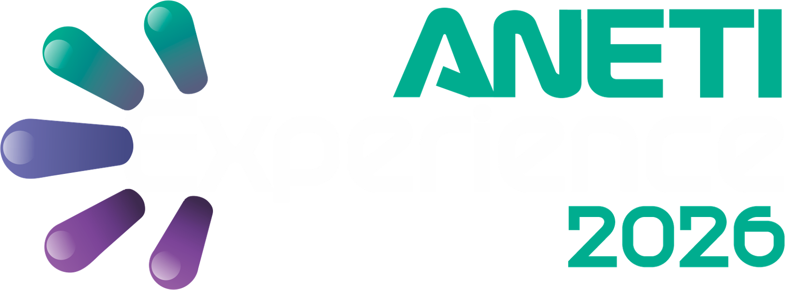 Home - anetiexperience.com.br